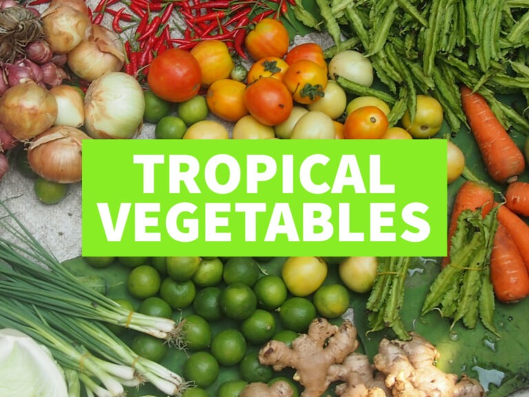 Tropical Vegetables - Tropical Food Garden